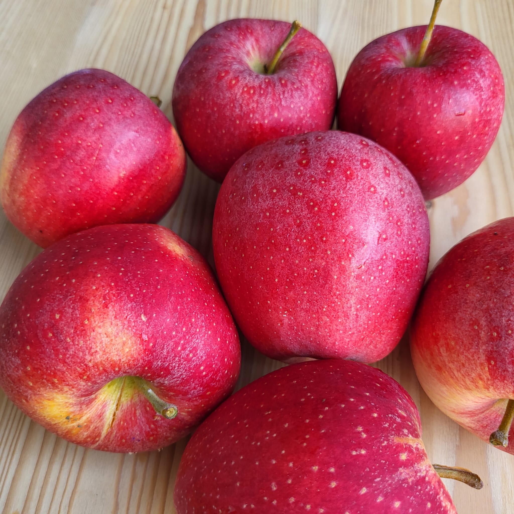 Äpfel Gala | Gemüse ab Hof